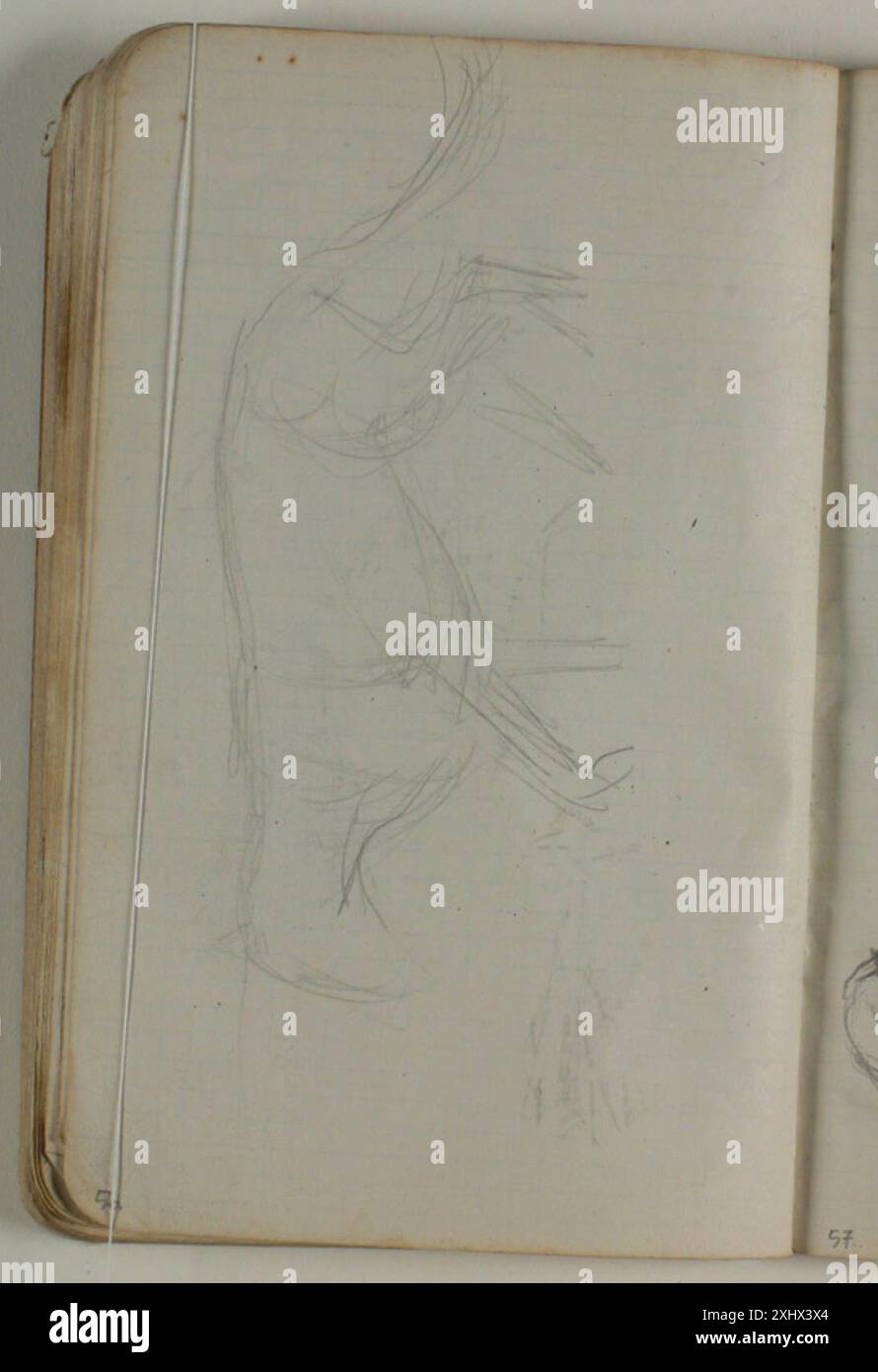 Drawing of cats showing body posture, anatomy, and facial features ...