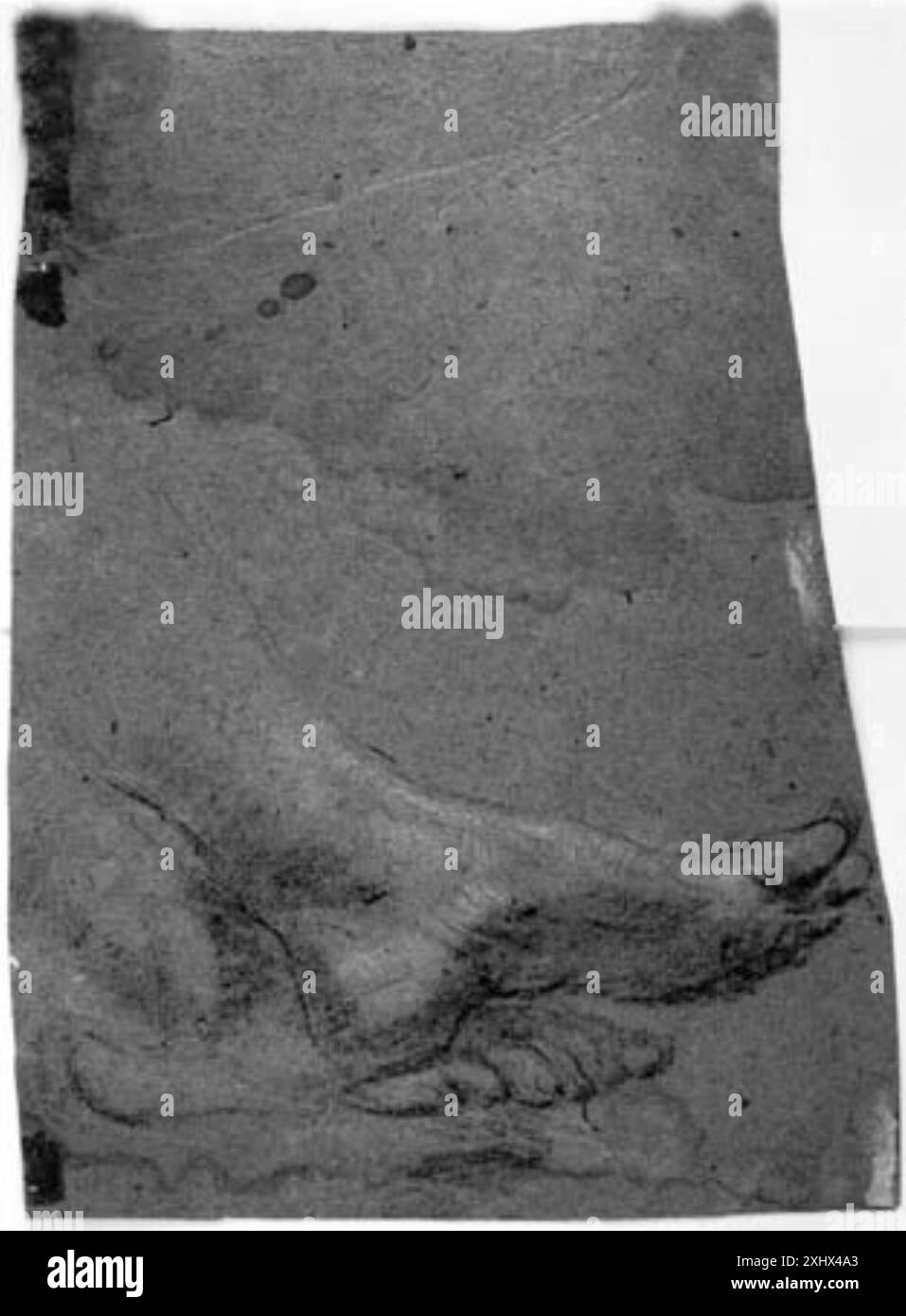 Leg crossed Black and White Stock Photos & Images - Alamy