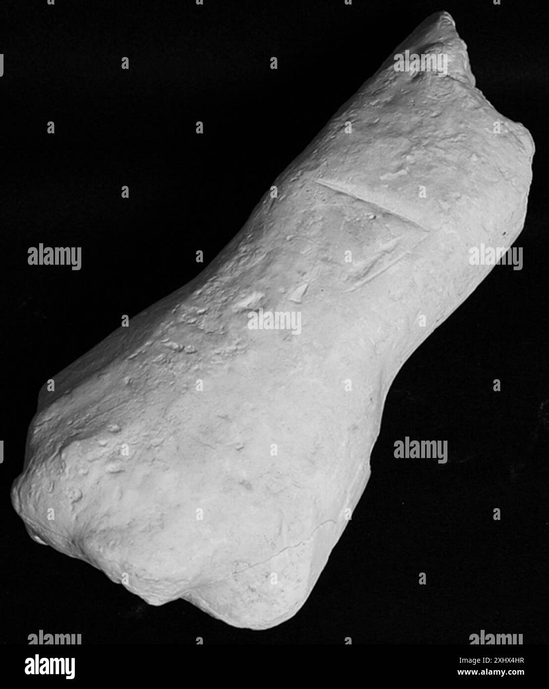 Male right hand marble hi-res stock photography and images - Alamy