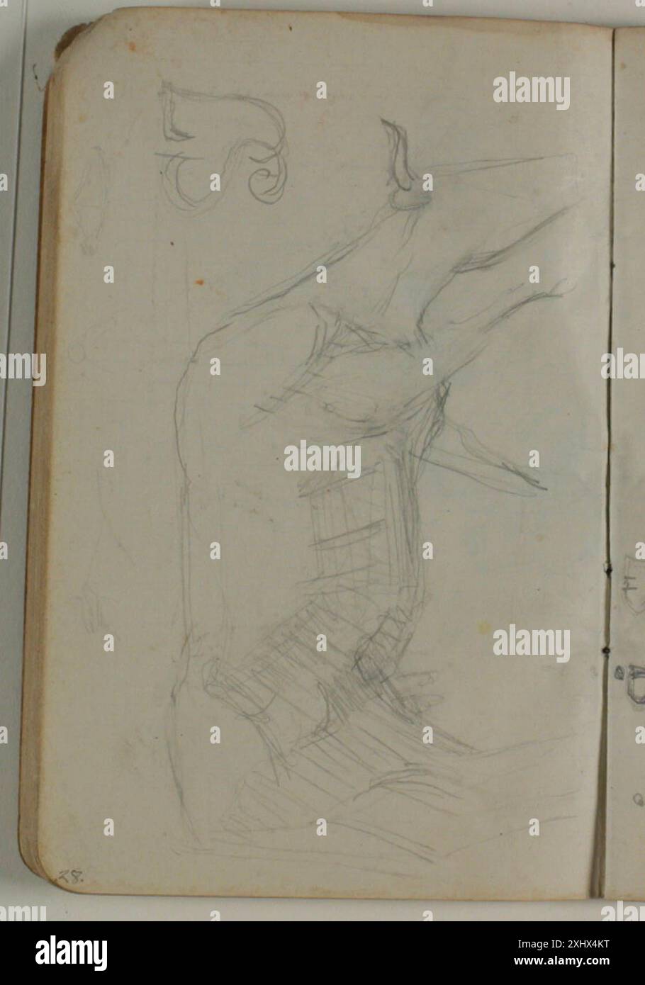 A drawing by Niels Larsen Stevns showing sketches of cows with a draft ...