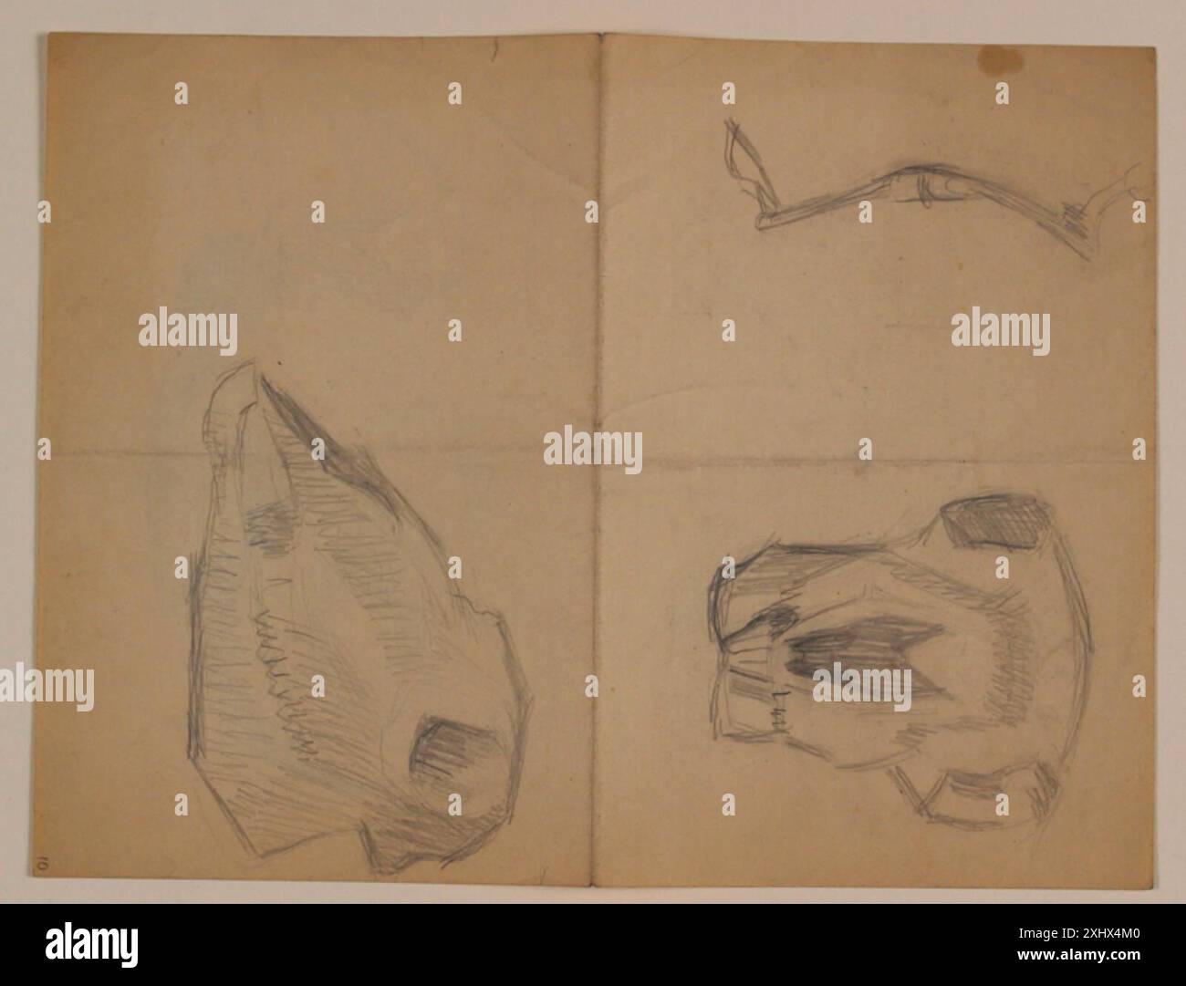 Sketches of a skull Larsen Stevns, Niels 1864 - 1941 Drawing Skitser af ...