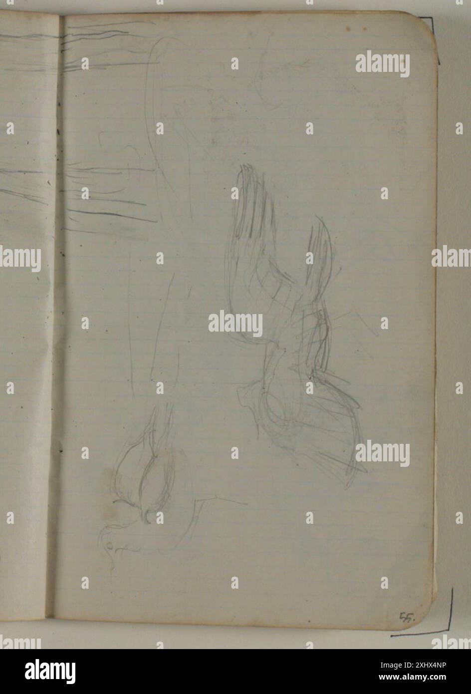 Drawing by Niels Larsen Stevns showing sketches of birds and a drawing ...