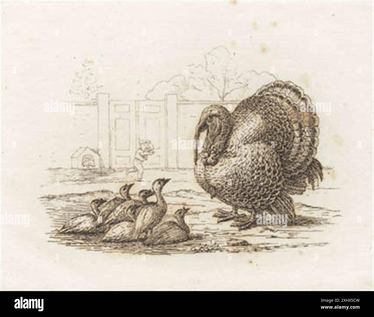 Engraving showing a fable scene from 'Half Hundreds Fables for Children ...