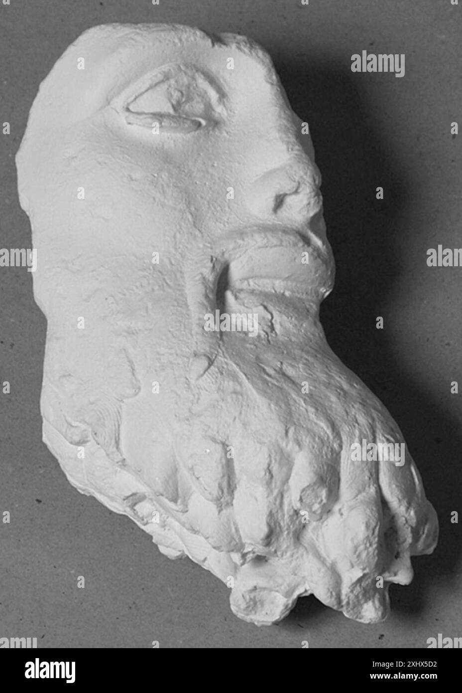 Facefragment hi-res stock photography and images - Alamy