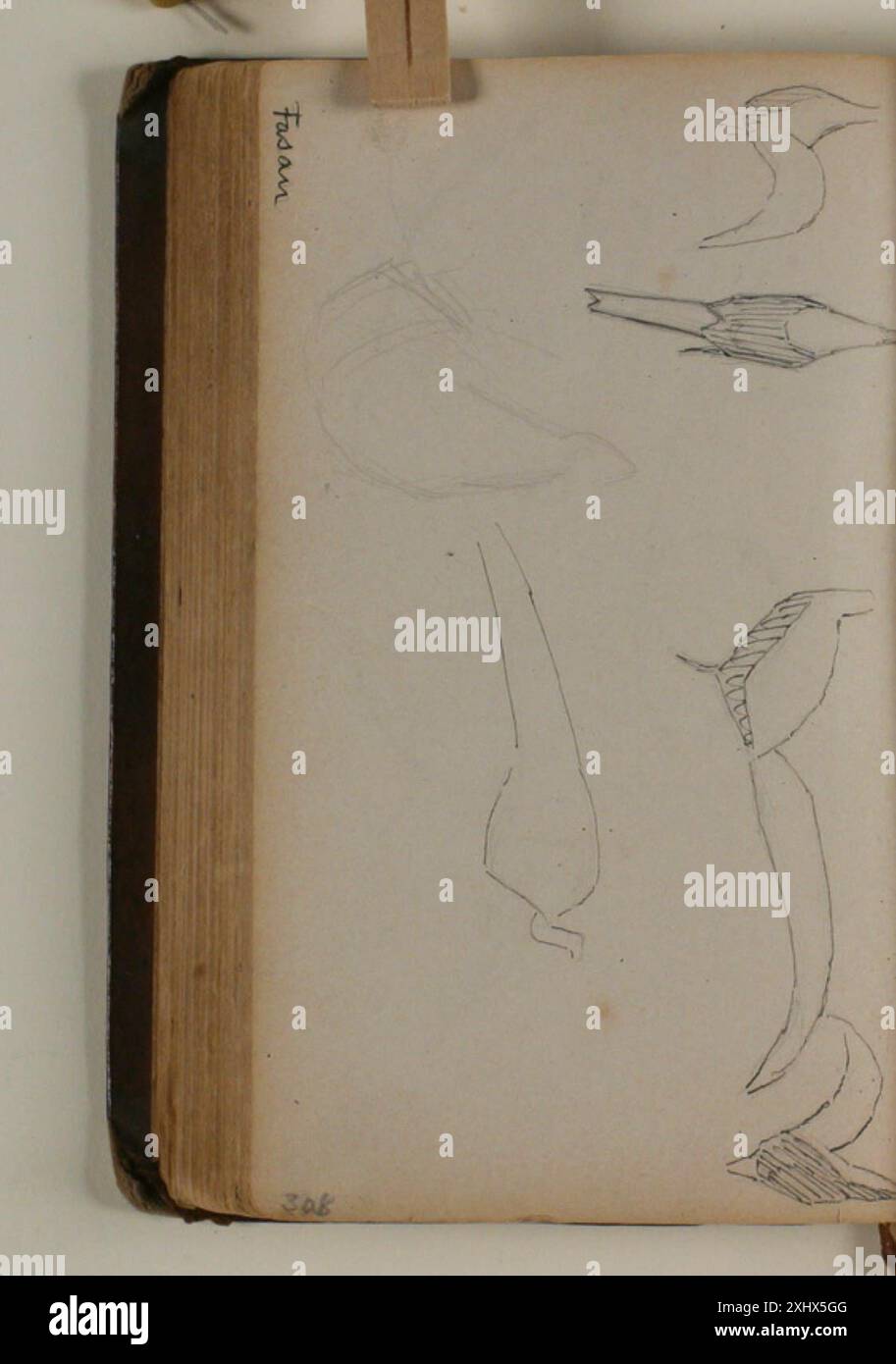 A drawing by Niels Larsen Stevns (1864–1941) depicting detailed studies ...