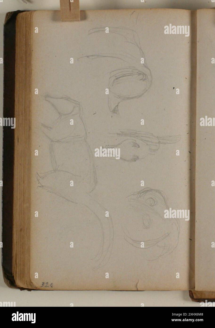 A drawing by Niels Larsen Stevns depicting detailed studies of nostrils ...