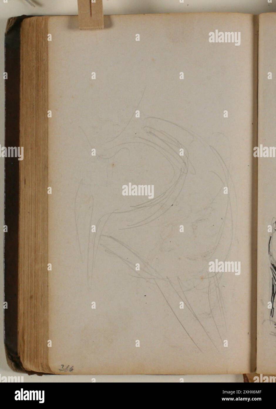 Study of bird (?) Larsen Stevns, Niels 1864 - 1941 Drawing Studie af ...