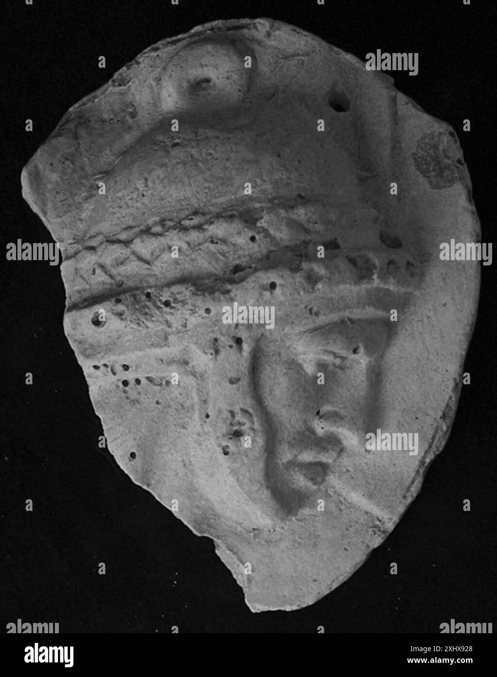 Human anatomy showing male Black and White Stock Photos & Images - Alamy