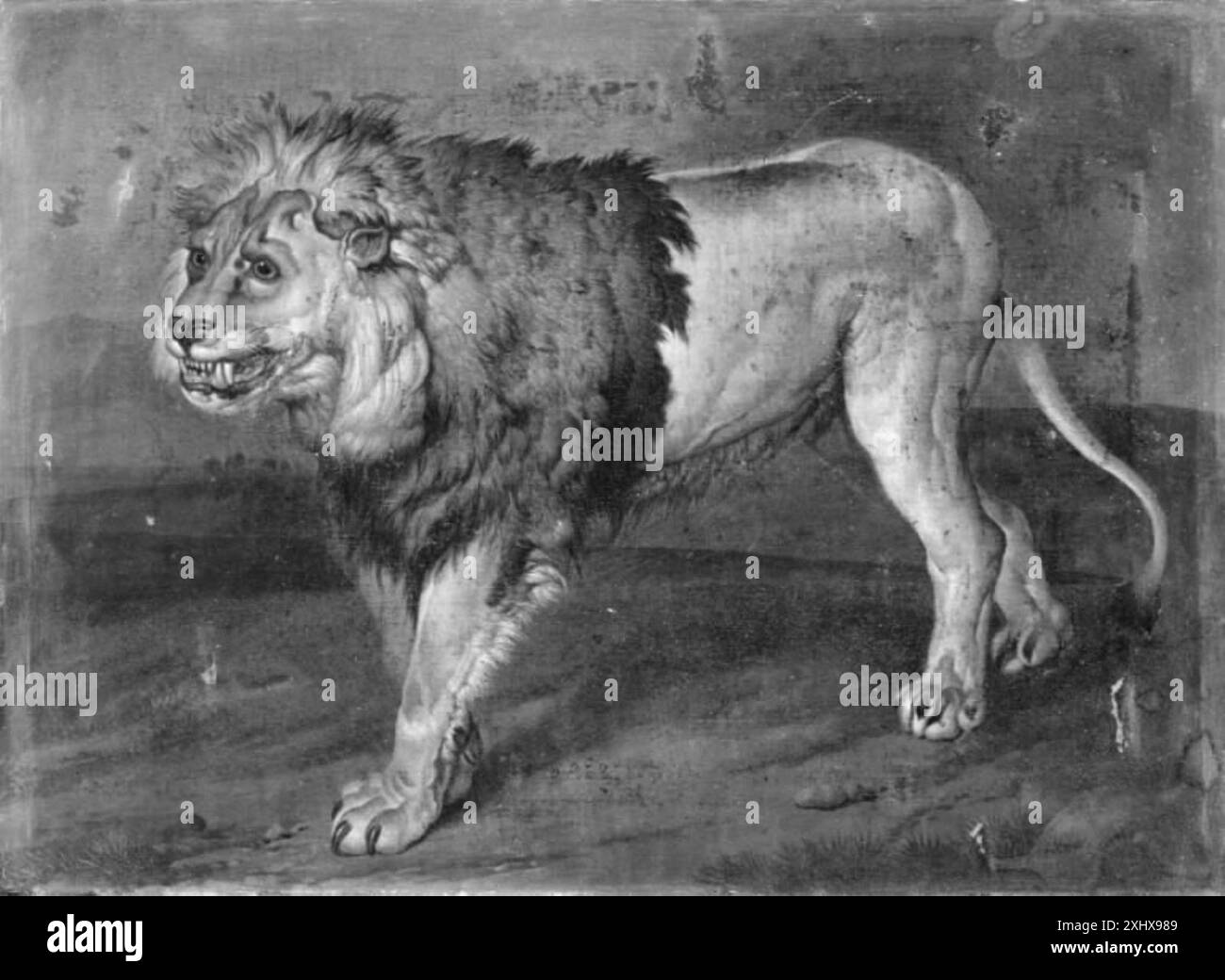 Natural scene depicting grass Black and White Stock Photos & Images - Alamy