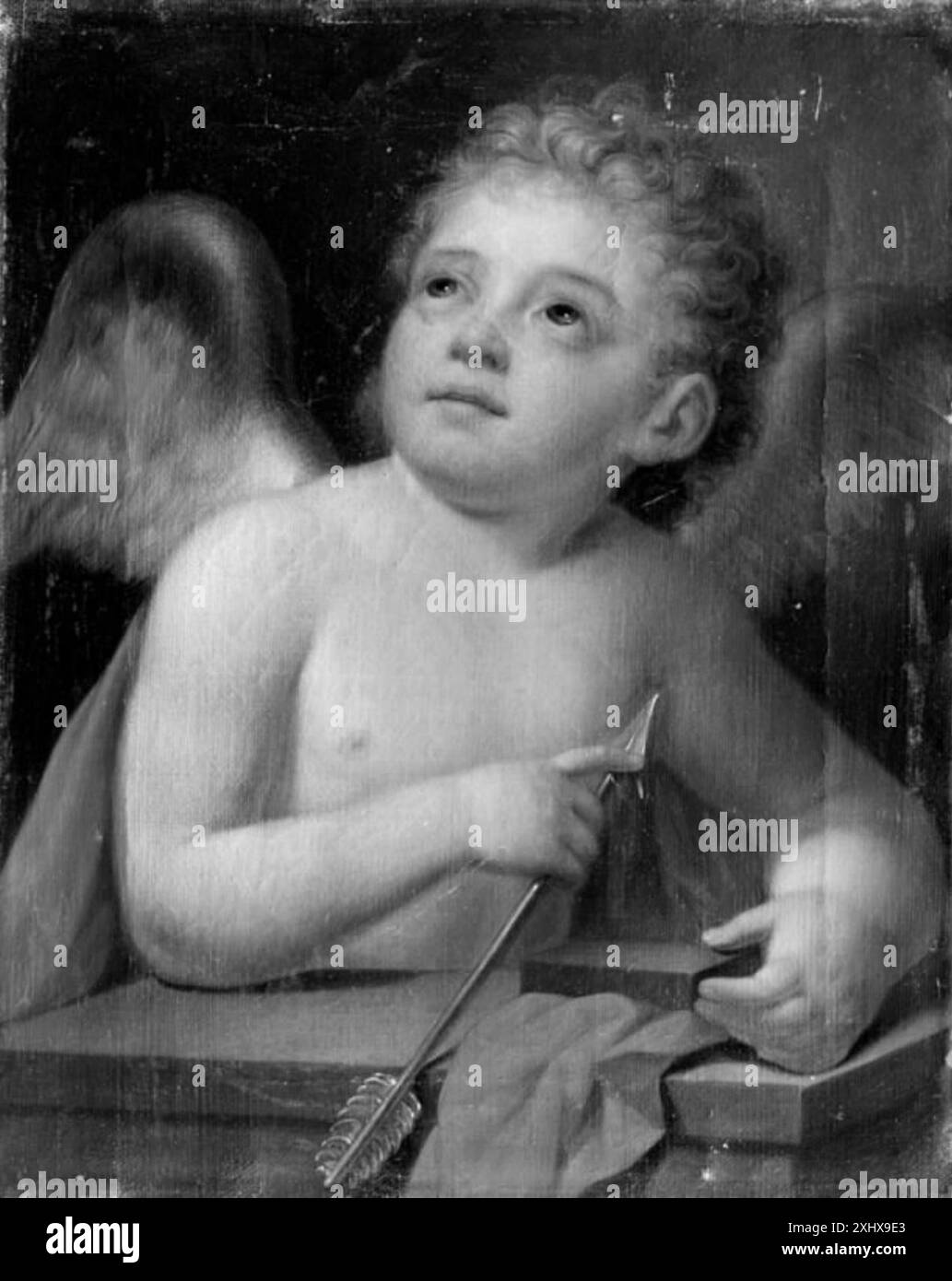 Medium wings Black and White Stock Photos & Images - Alamy