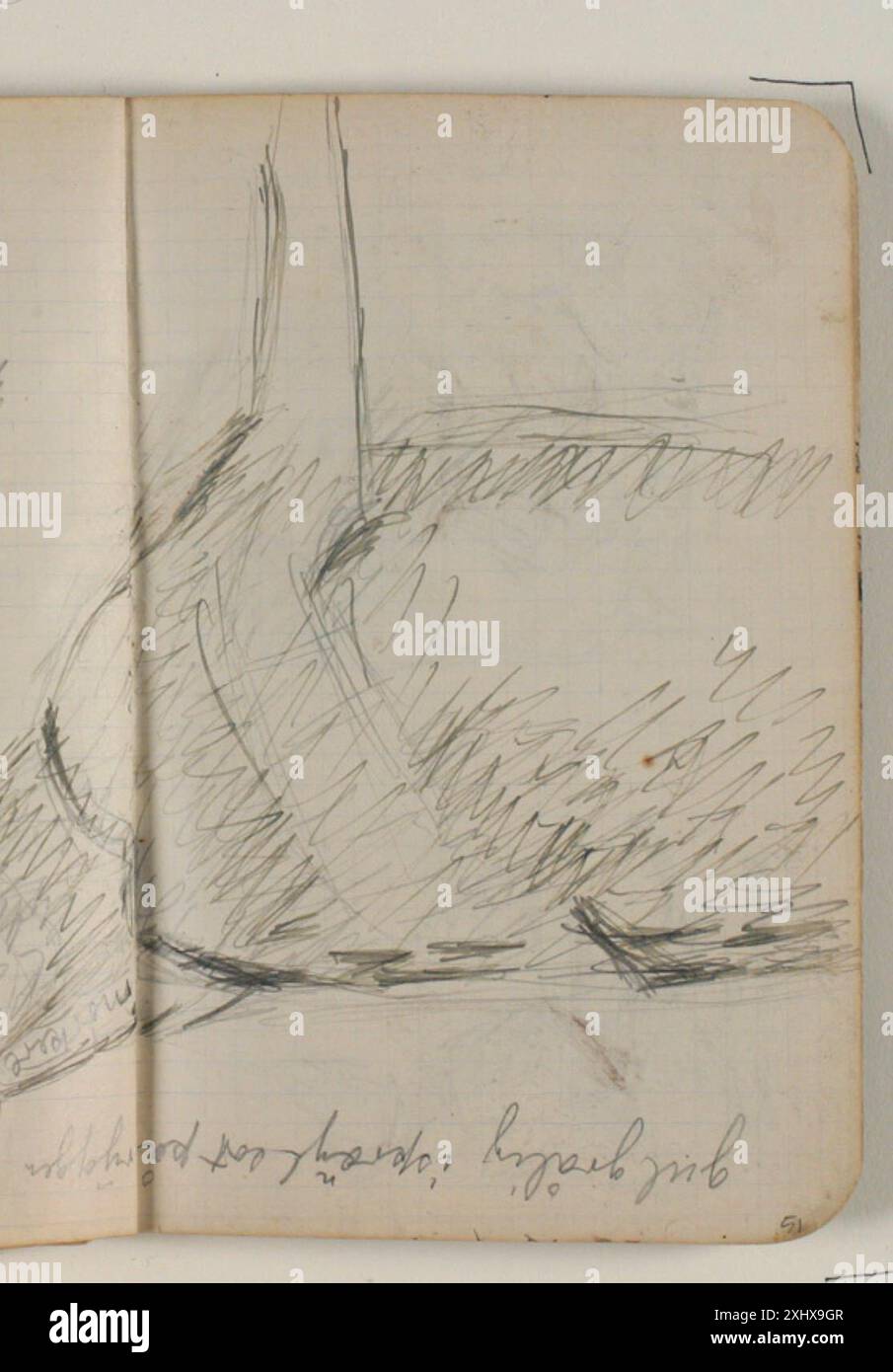 Sketch of a wolf. Notes Larsen Stevns, Niels 1864 - 1941 Drawing Skitse ...