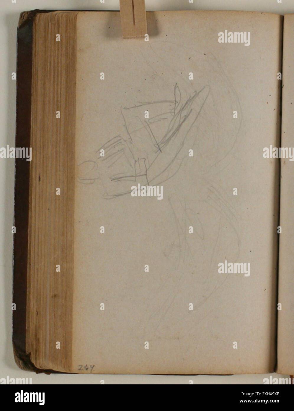 Figure study, light sketch of widespread birds of prey Larsen Stevns ...