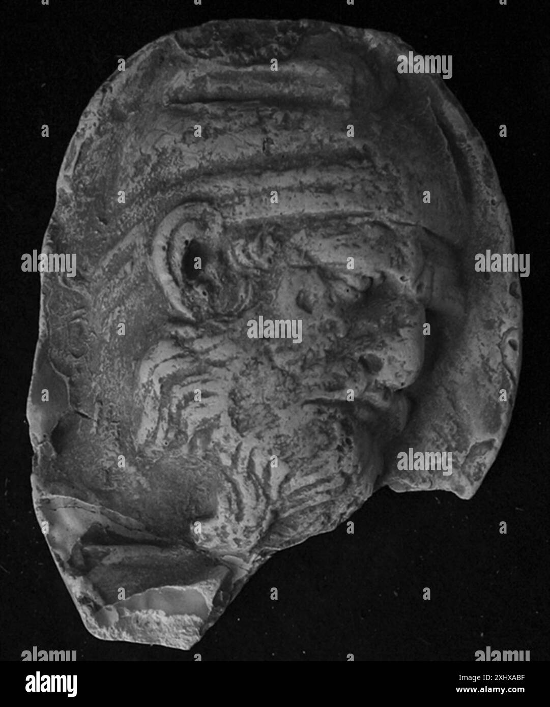 Engraving of a male head in right profile from the Trajan Column ...