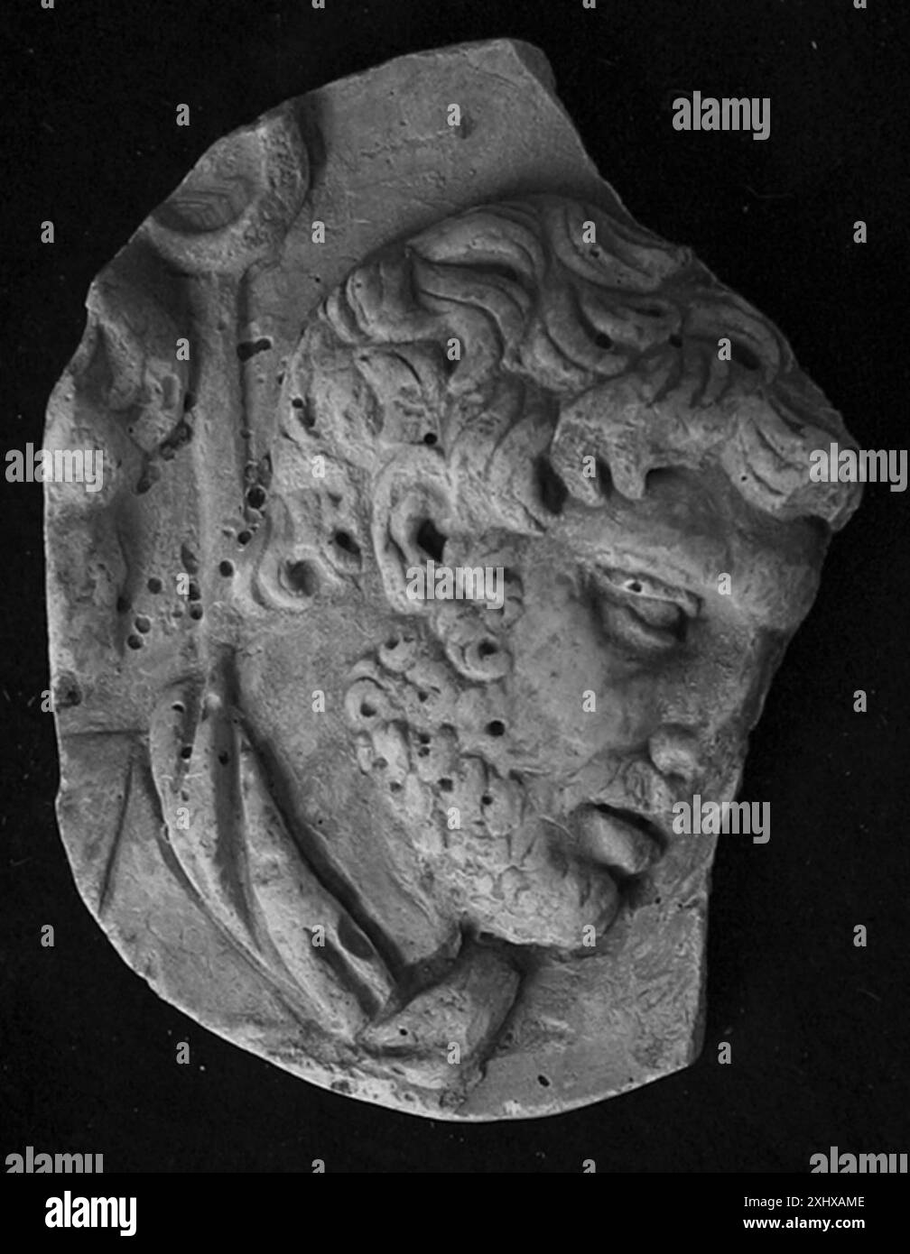 Roman specimen Black and White Stock Photos & Images - Alamy