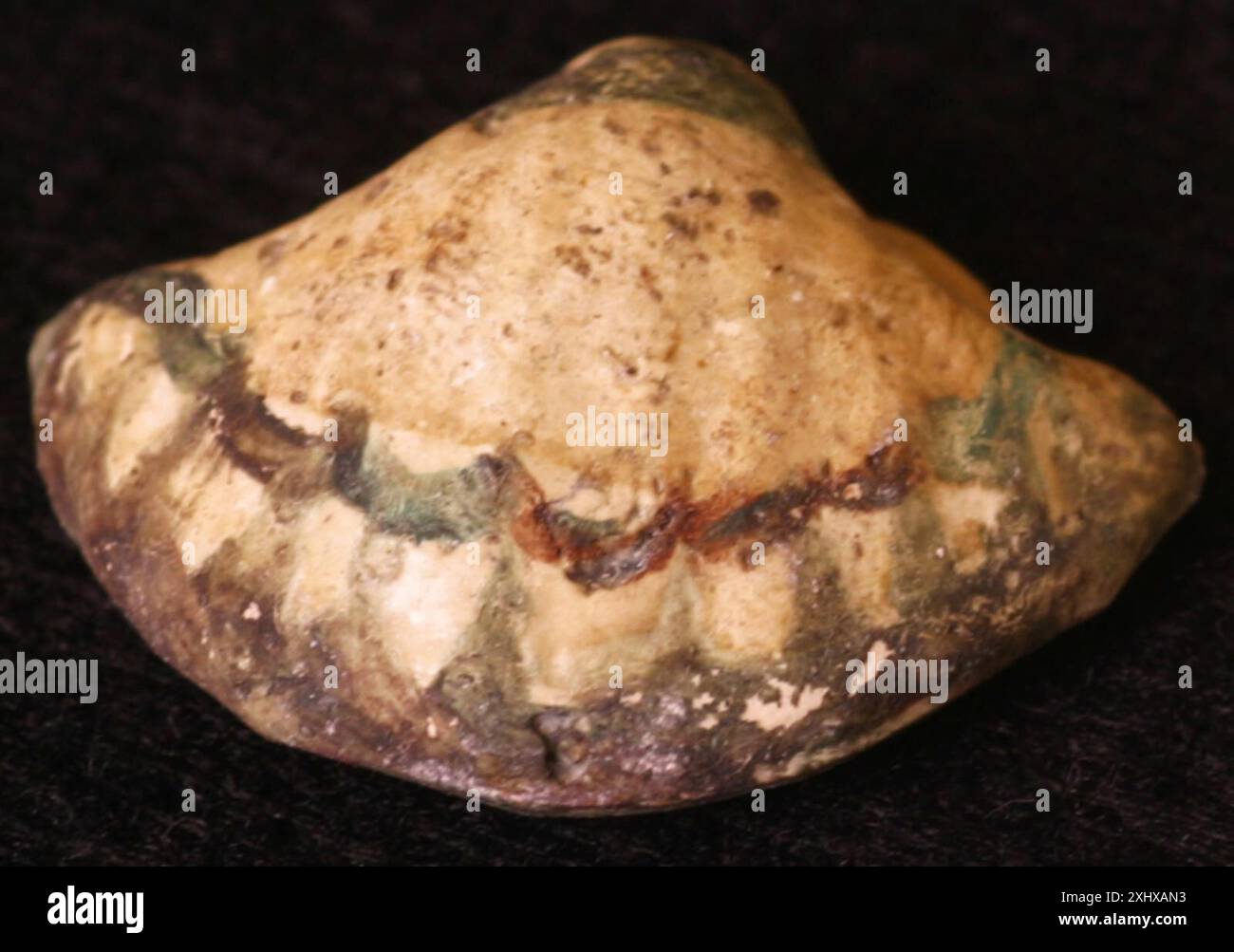 Heart mussel Unknown Sculpture Hjertemusling Stock Photo - Alamy