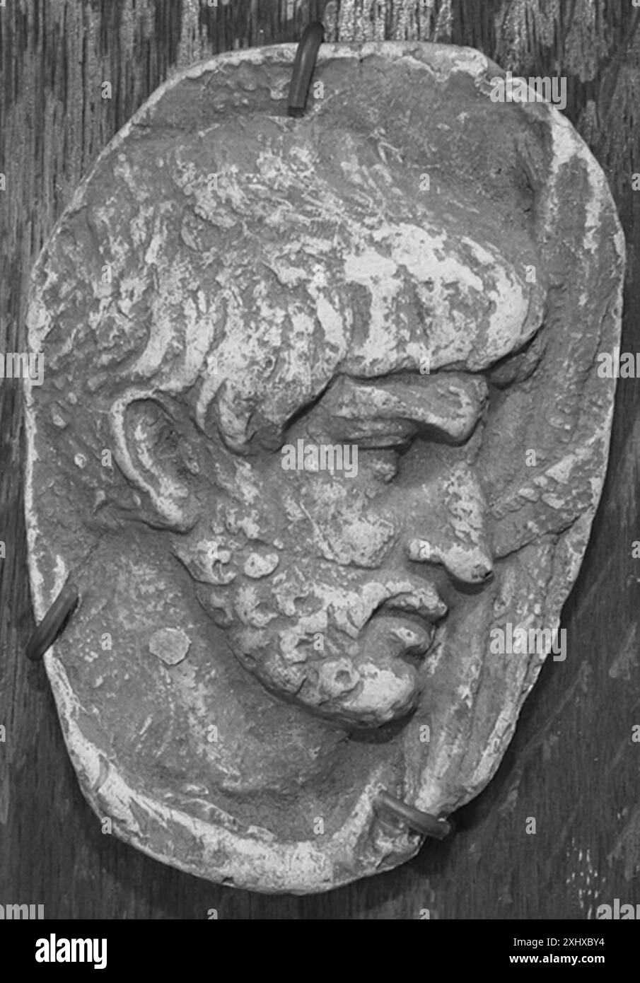 Sculptural fragment of a man's head in right profile from the Trajan ...