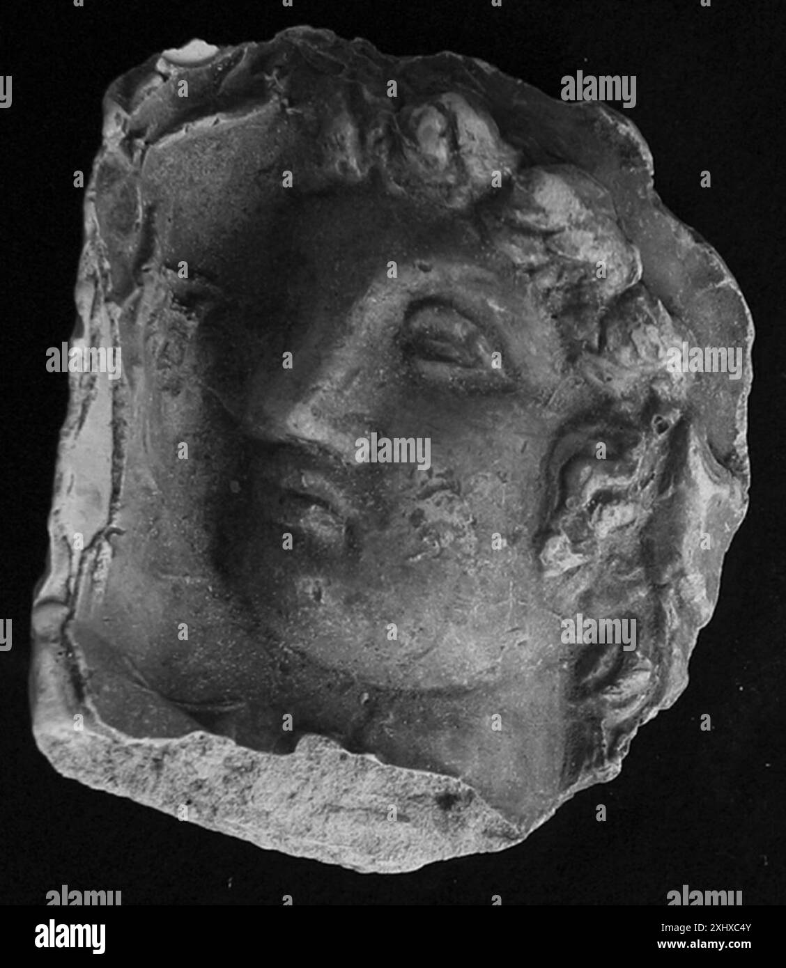 Photograph of a sculpted male head in left profile from the Trajan ...