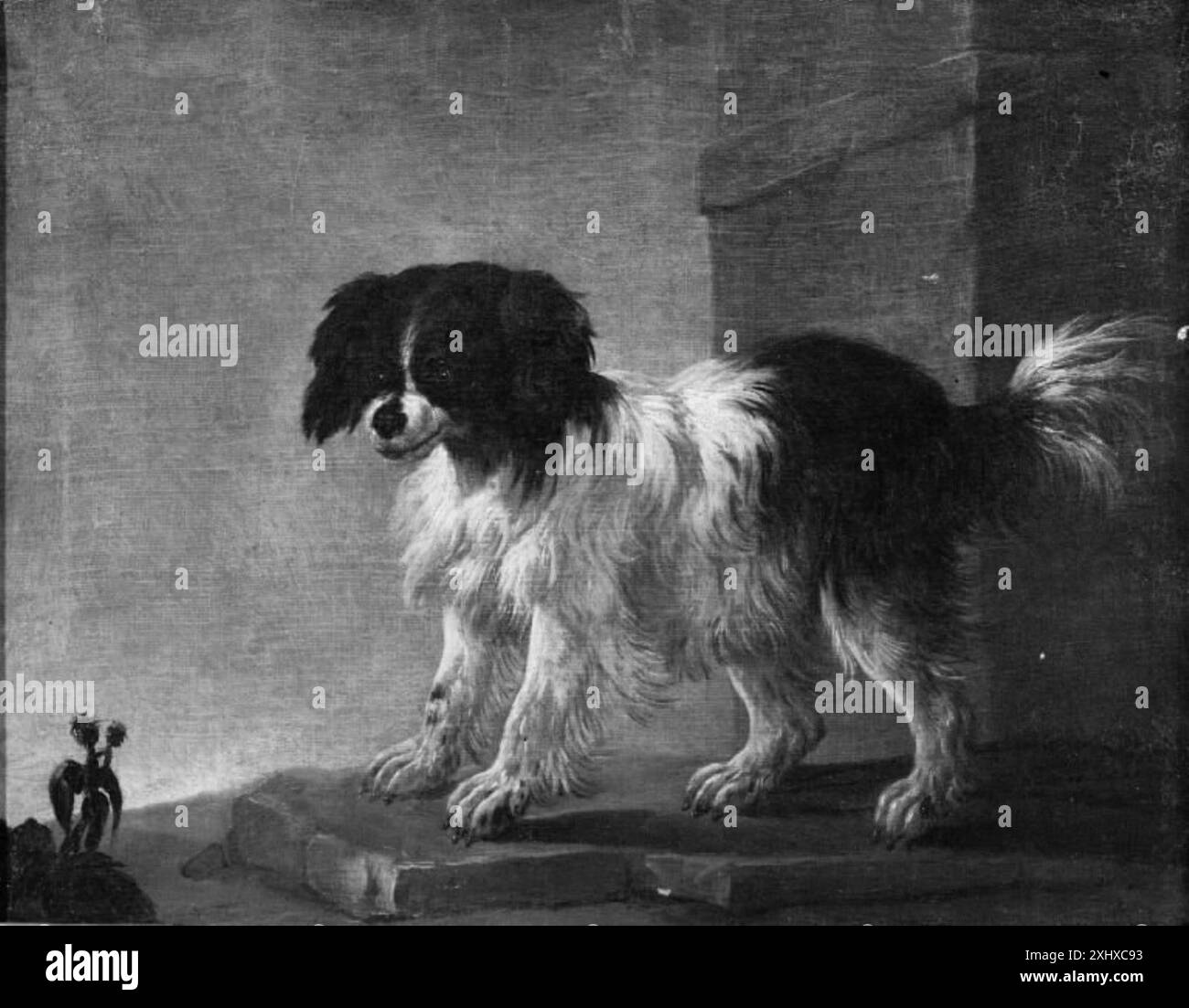 Philipp peter roos Black and White Stock Photos & Images - Alamy