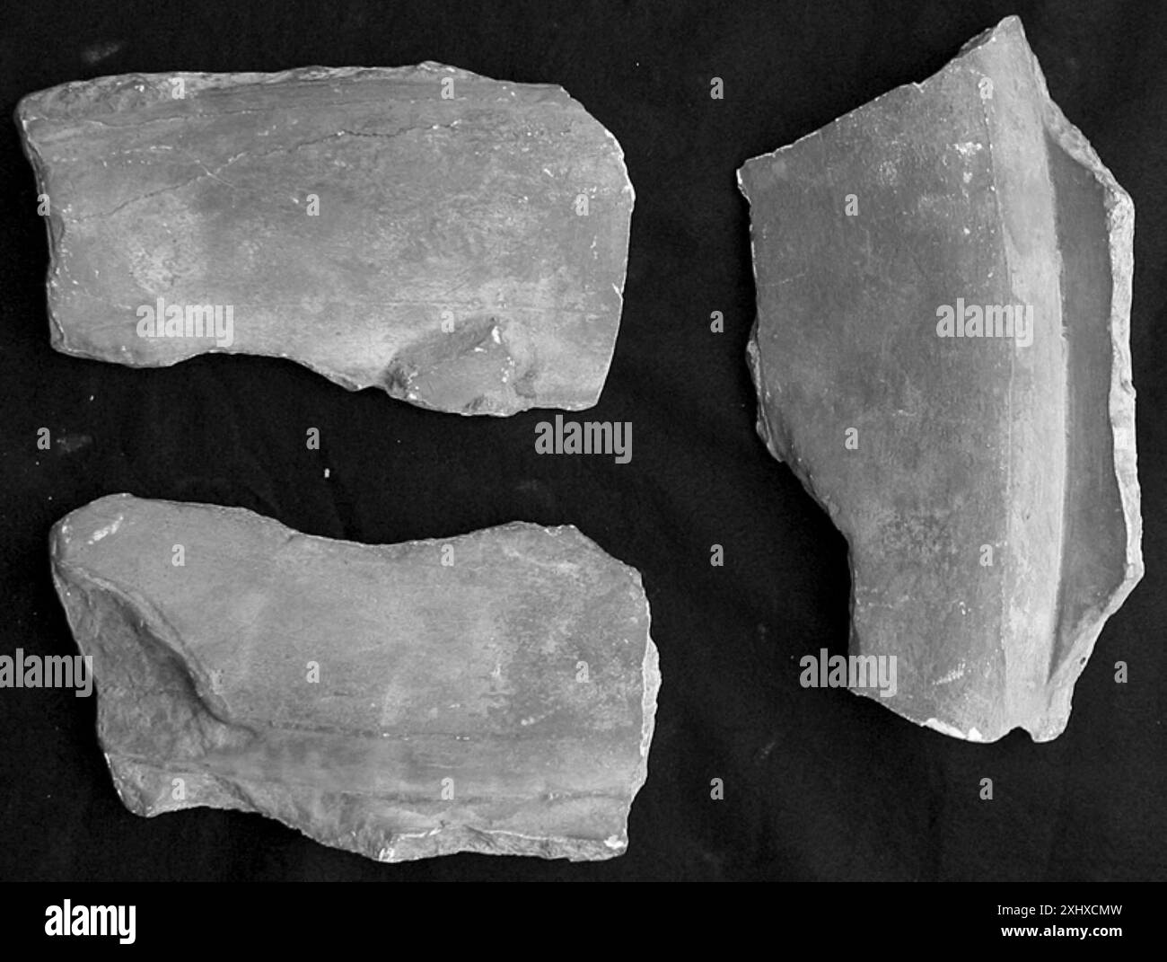 Pelops hi-res stock photography and images - Alamy