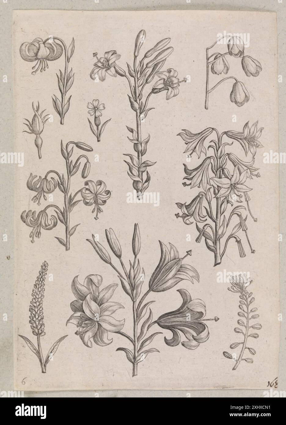 Copper engraving by Adriaen Collaert and the Galle family depicting ...