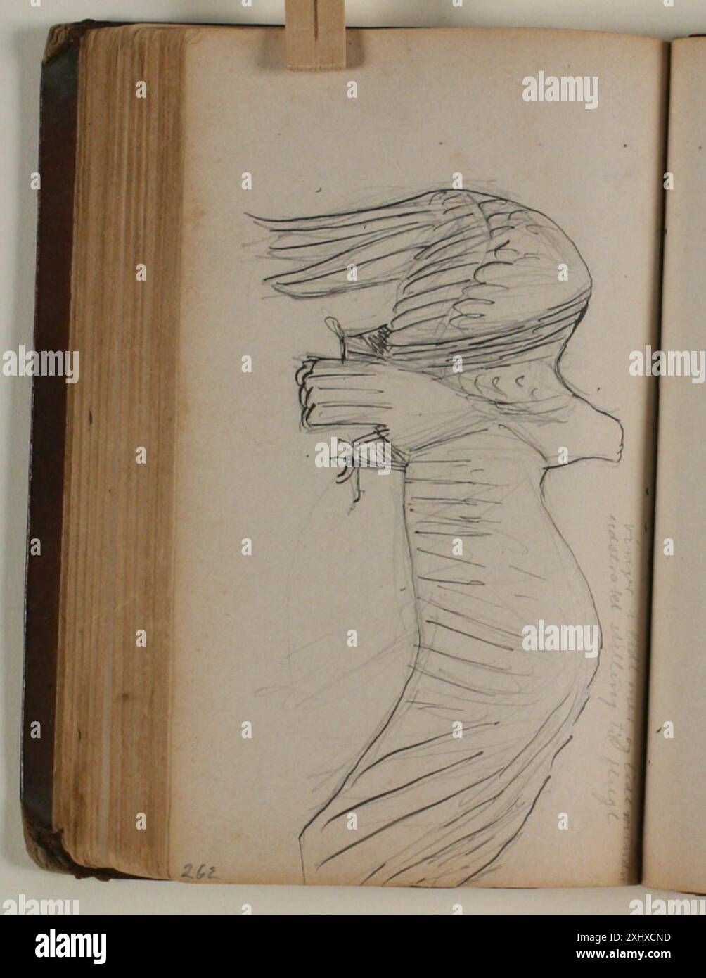 Study of eagle with partially and fully outstretched wings Larsen ...