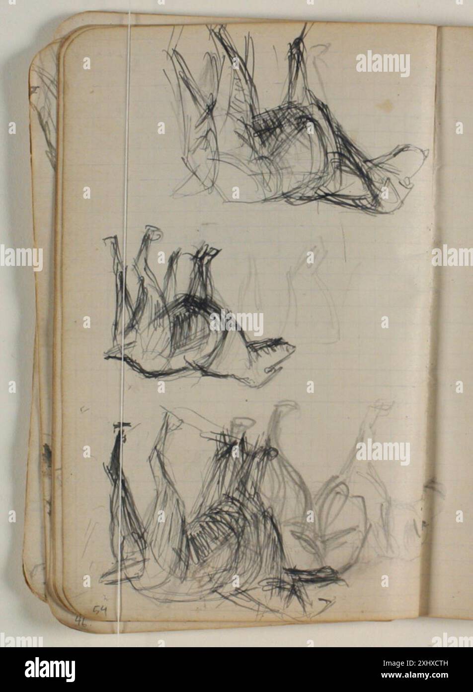 Drawing by Niels Larsen Stevns showing multiple dog sketches ...