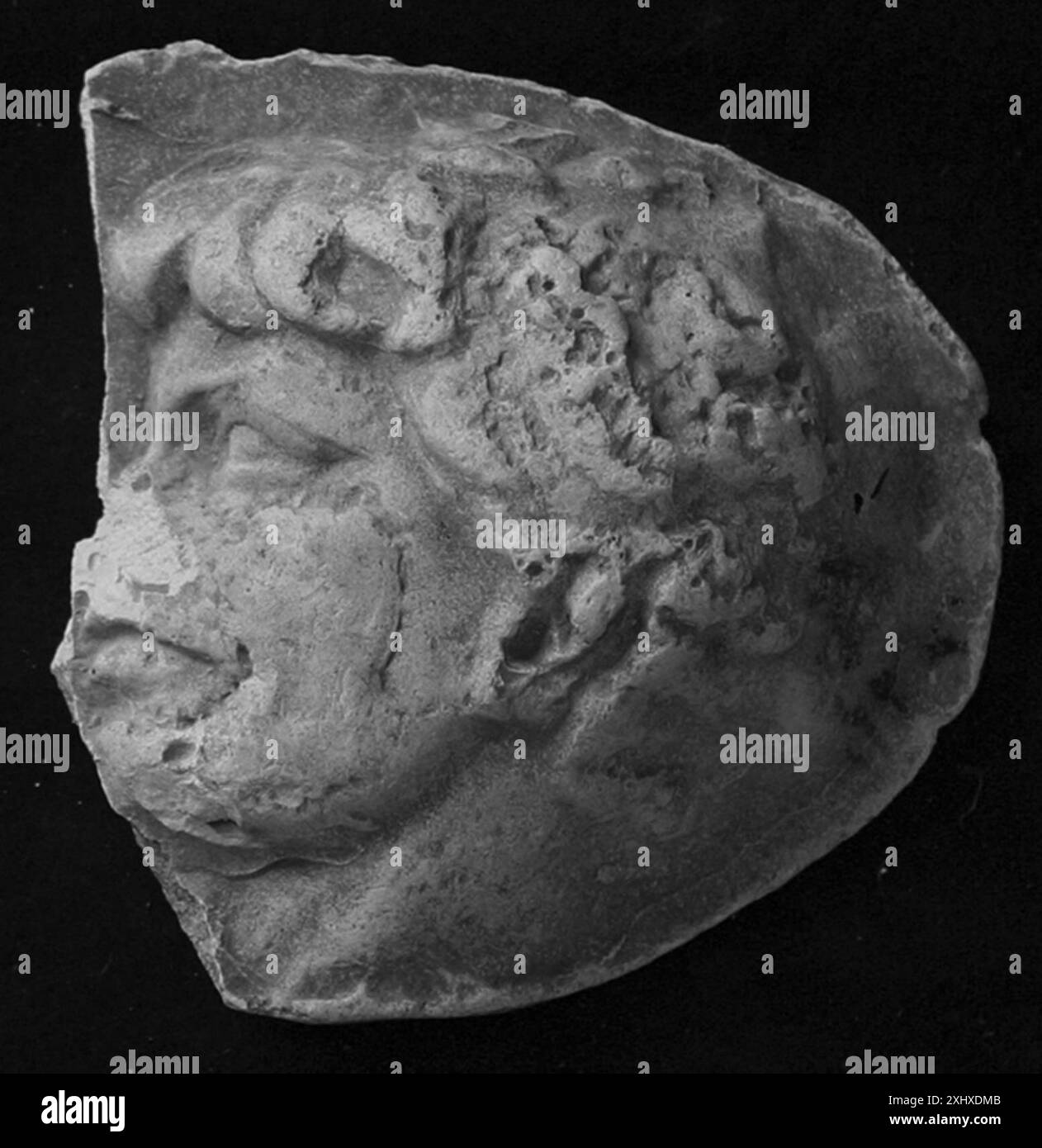 Marble sculpture of a male head in left profile from Trajan Column ...