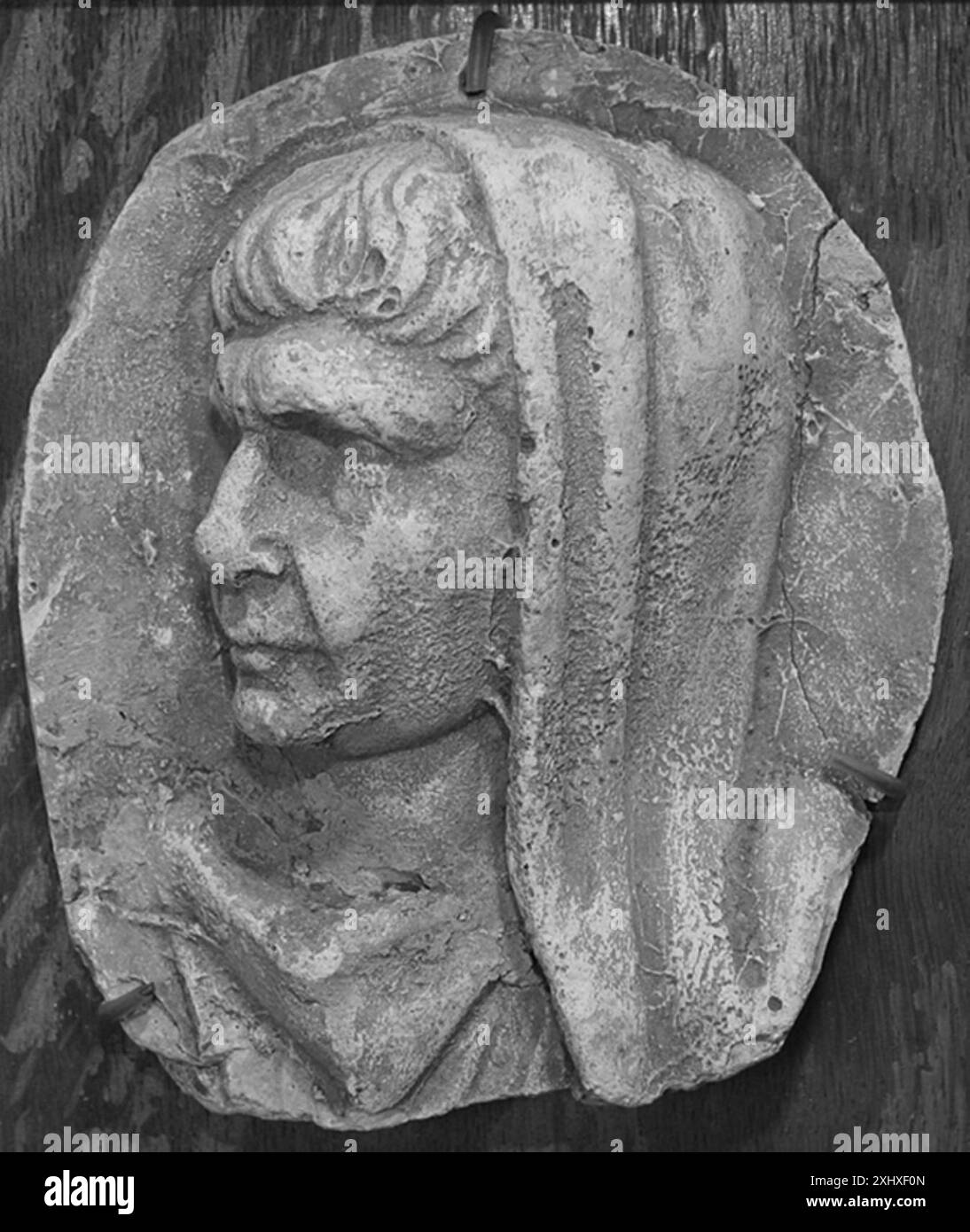 Profile fragment hi-res stock photography and images - Alamy