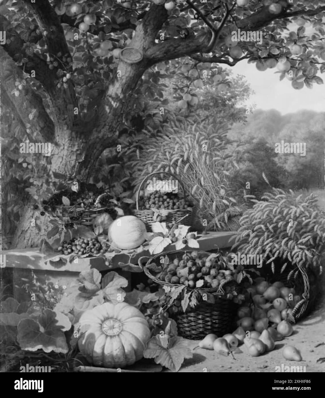 Fruits detail Black and White Stock Photos & Images - Alamy