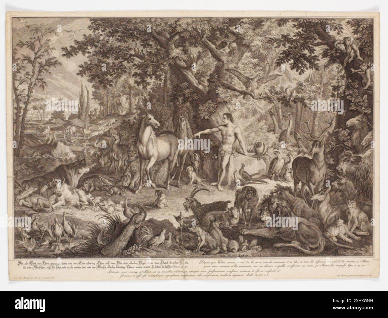 Adam gives the animals names Ridinger, Johann Elias 1698 - 1767 Copper ...