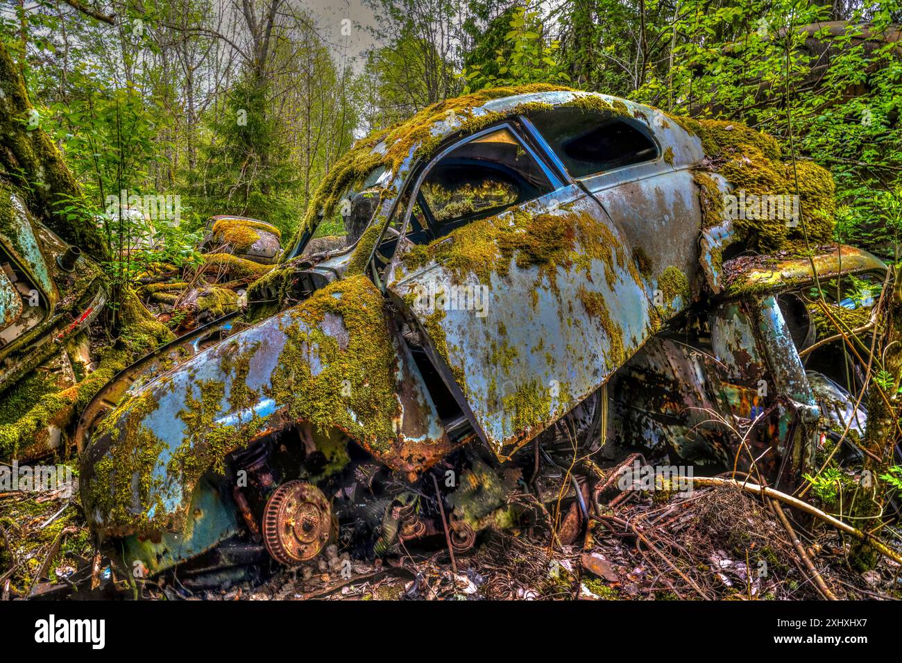 Old junk cars in woods hi-res stock photography and images - Alamy