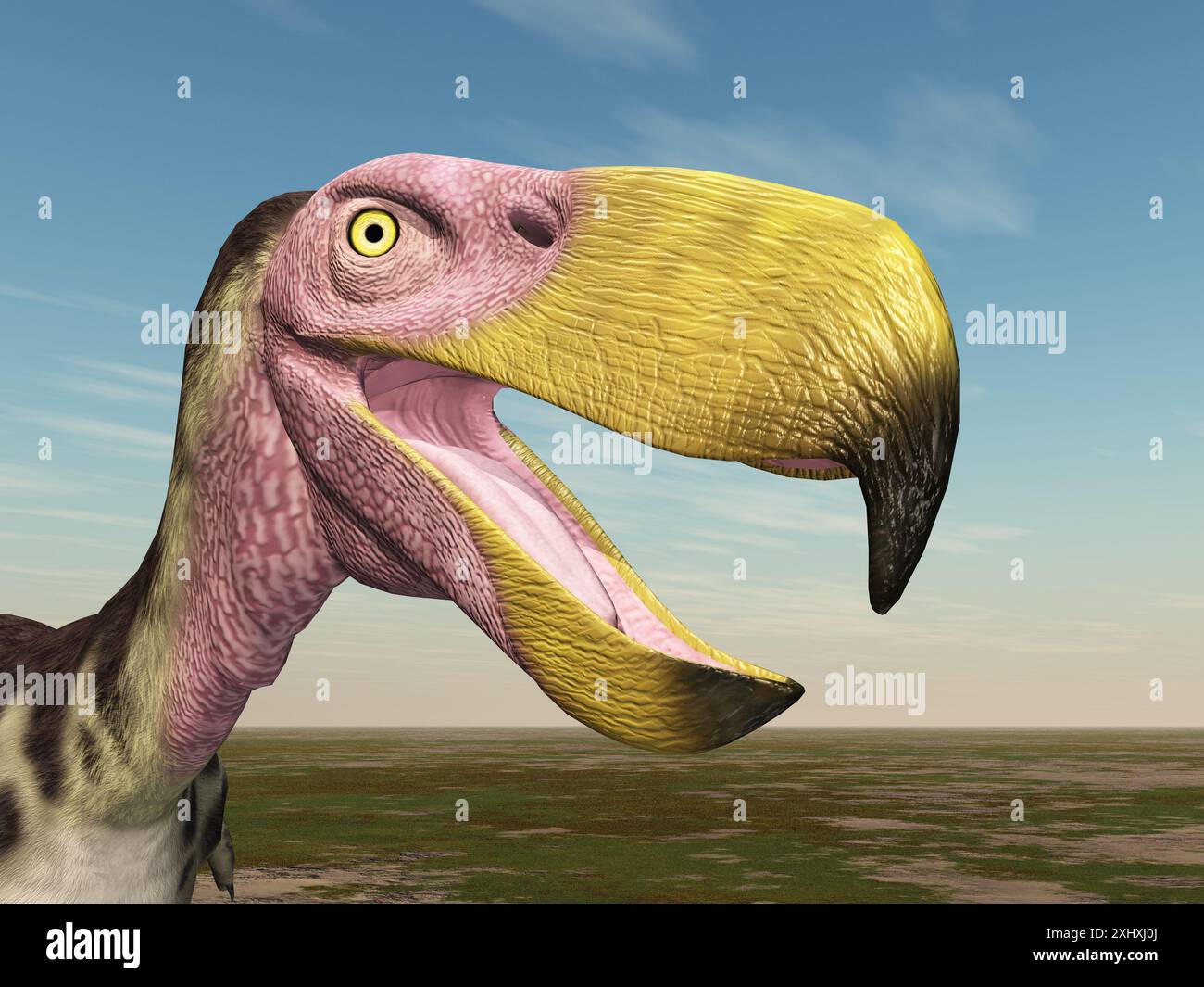 Head of the terror bird Kelenken Stock Photo - Alamy
