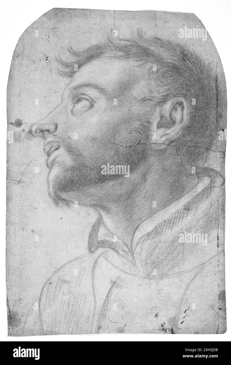 Drawing showing the head of a man gazing upwards, highlighting facial ...