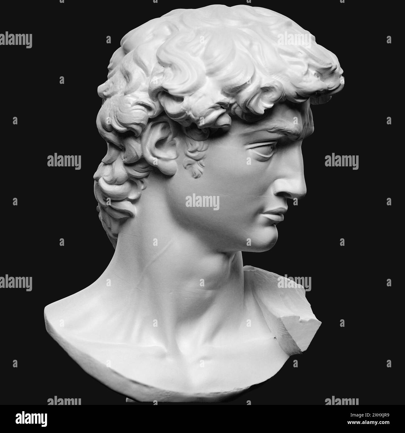 Michelangelo – statue of david Black and White Stock Photos & Images ...