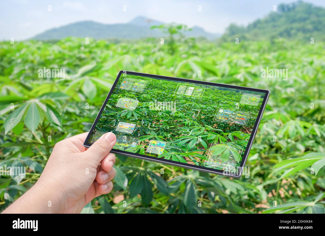 Innovation technology smart farm hi-res stock photography and images ...