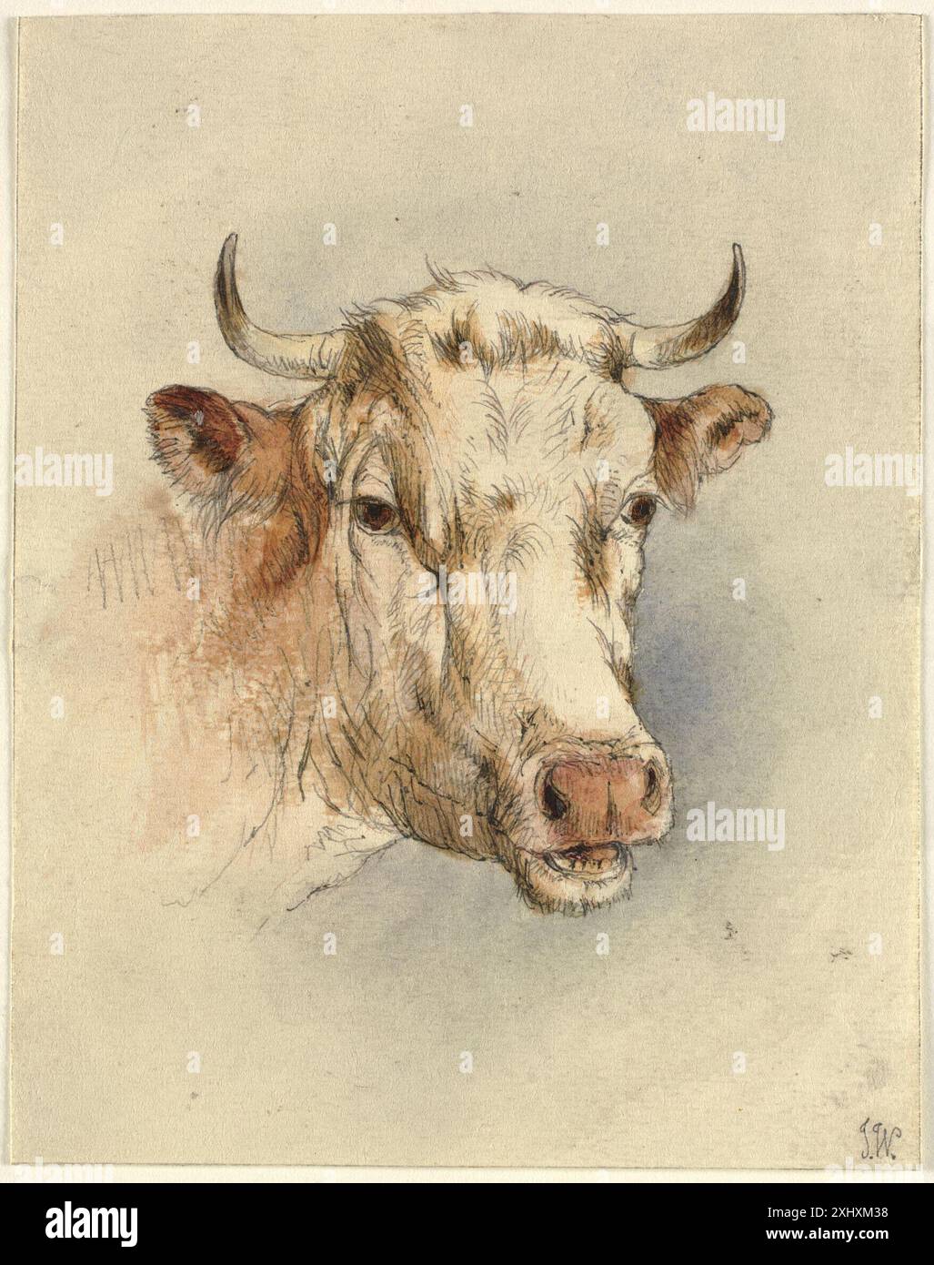 Drawings prints drawing study hi-res stock photography and images - Alamy