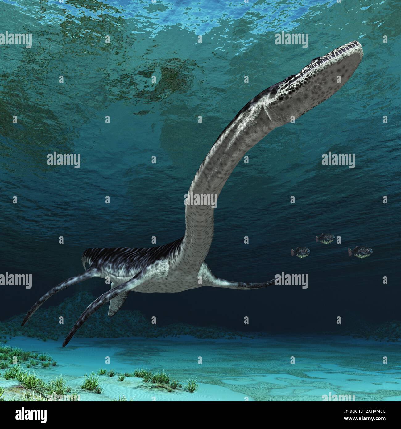 Plesiosaur Elasmosaurus in an underwater landscape Stock Photo - Alamy