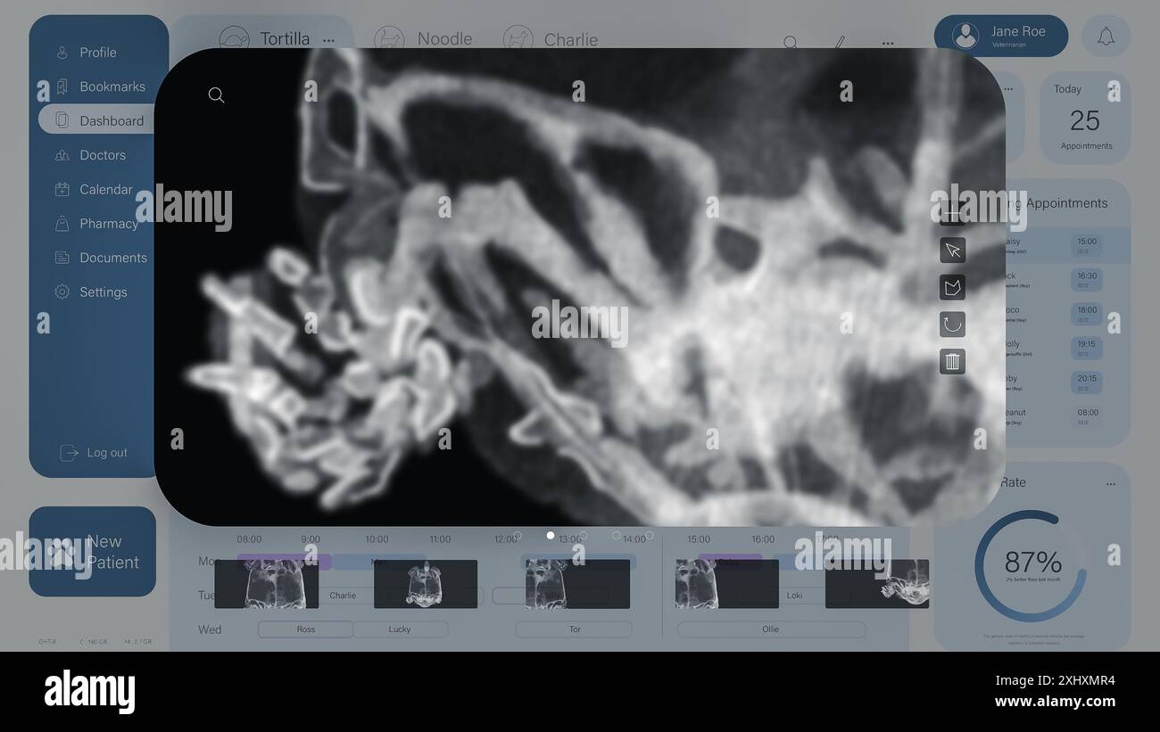 Light Interface Mockup Of Medical Software for Vet Clinic. Computer ...