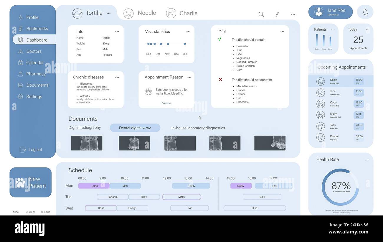 Light Interface Mockup Of Medical Software for Vet Clinic. Computer ...