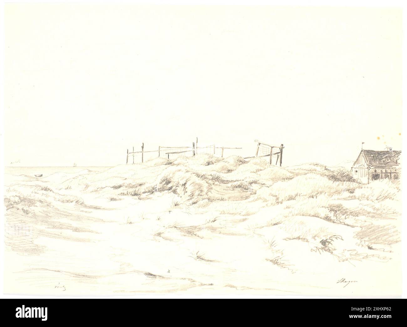 Sand dune environment Cut Out Stock Images & Pictures - Alamy