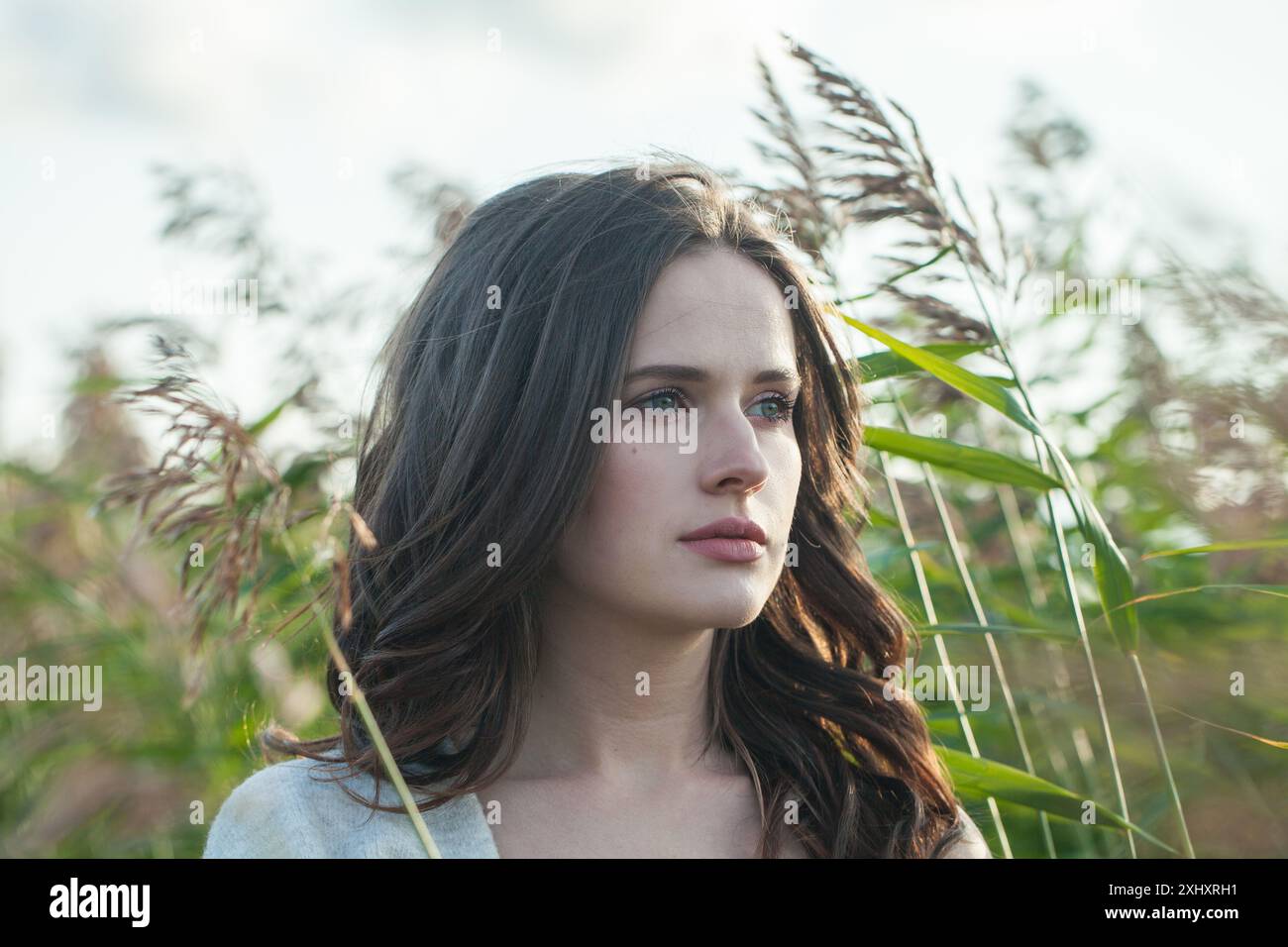 Closeup portrait of healthy brunette woman with long hairstyle and ...