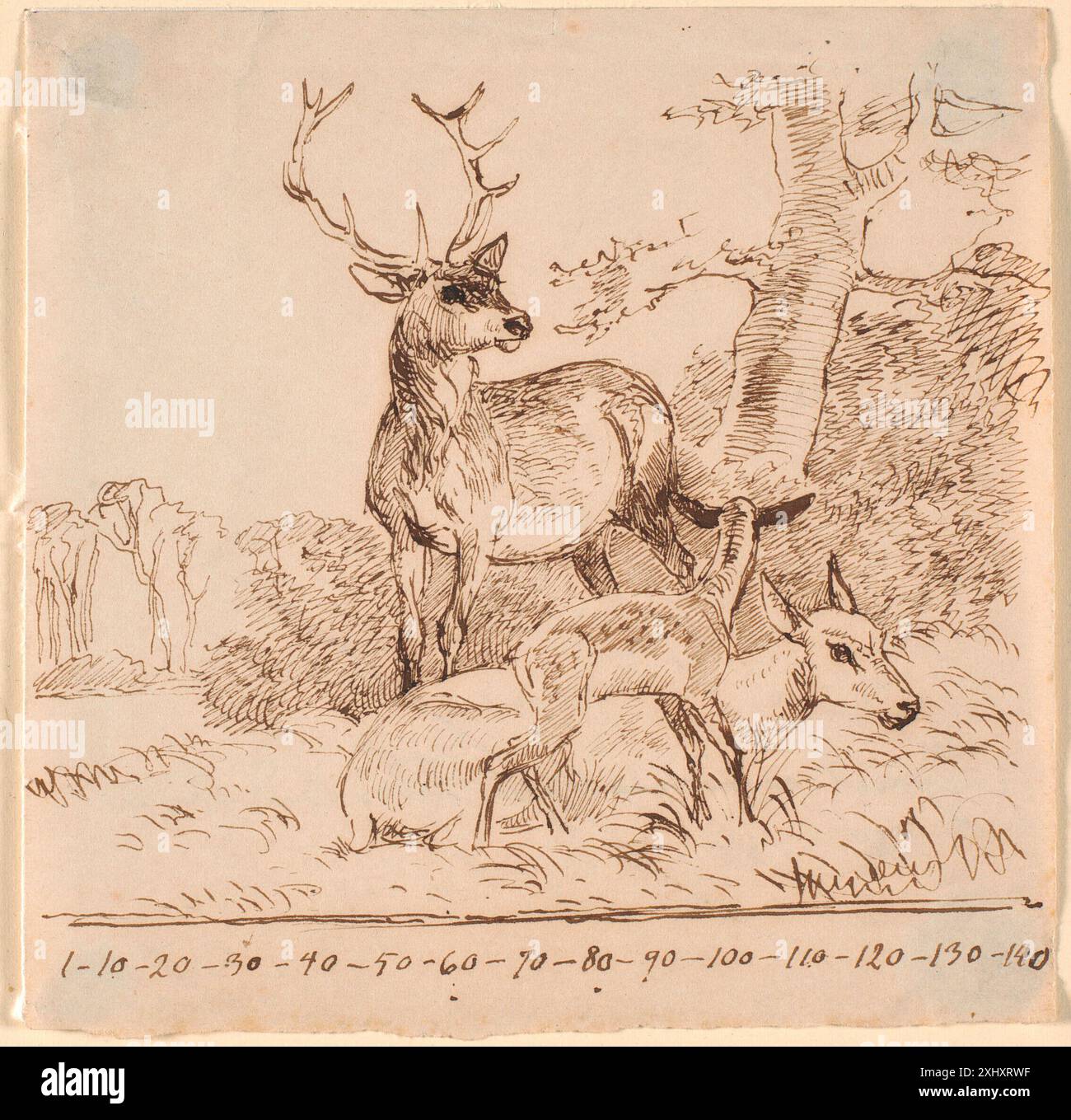 Johan hjort hi-res stock photography and images - Alamy