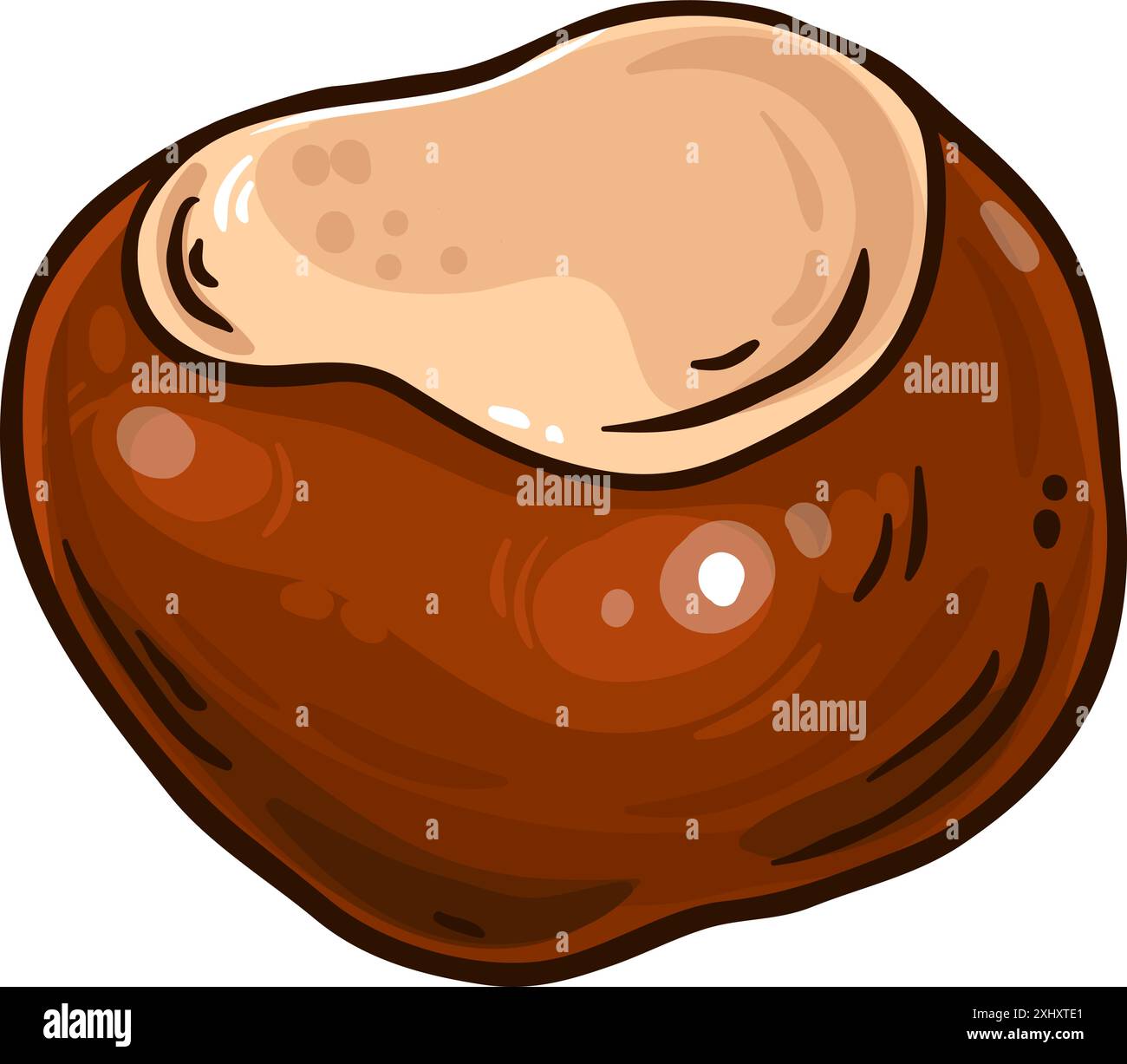Chestnut Nut Colored Detailed Illustration Stock Vector Image & Art - Alamy