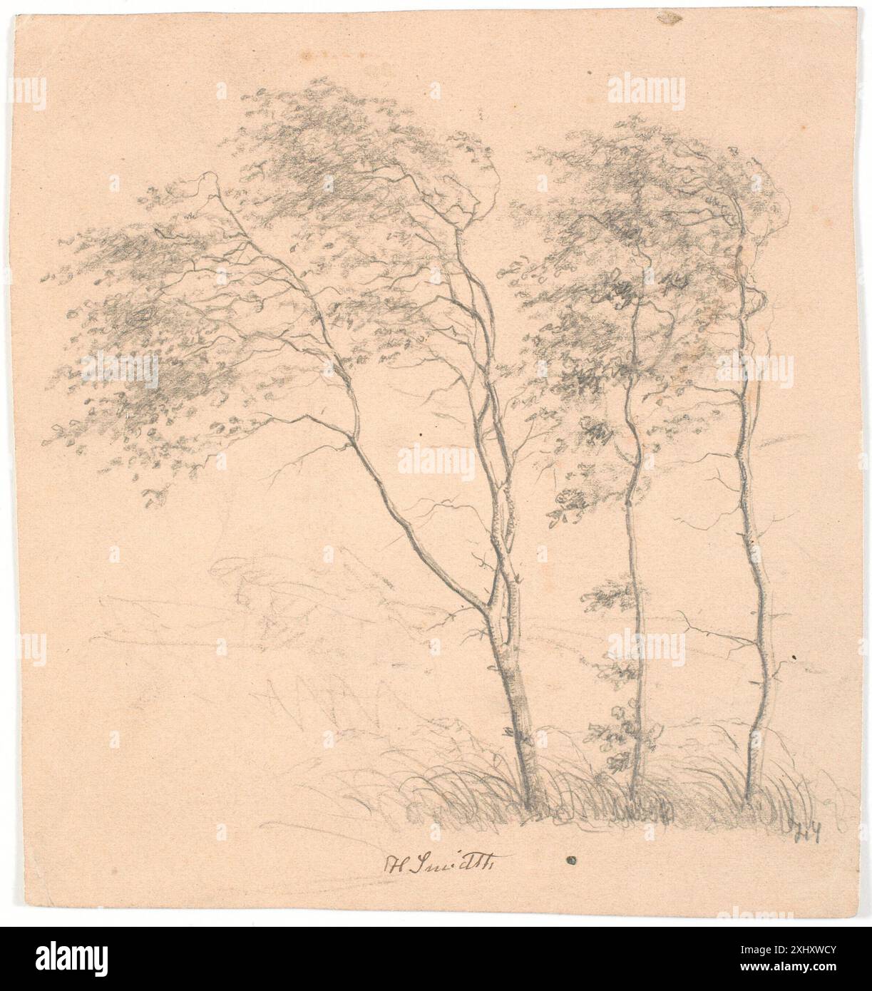 Drawing by Hans Smidth depicting three trees, representing natural ...