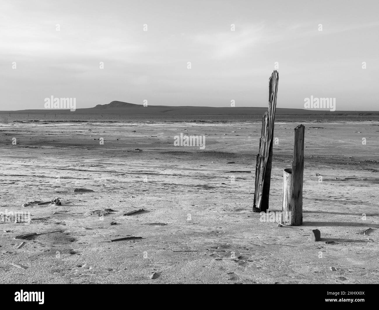 Reclaimed landscape Black and White Stock Photos & Images - Alamy