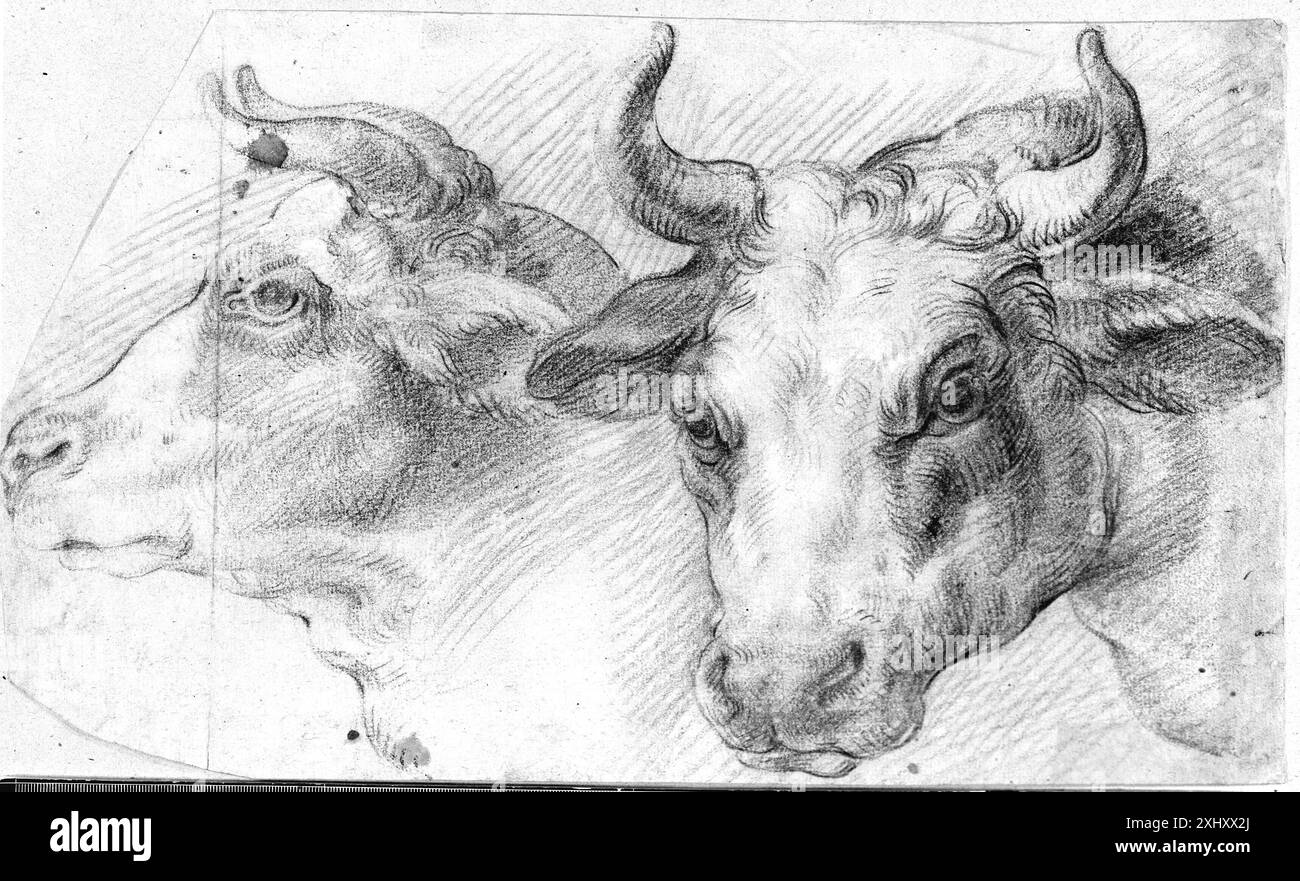 Reunion of Esau and Jacob Panneels, Willem 1600 - 1634 Drawing Rubens ...