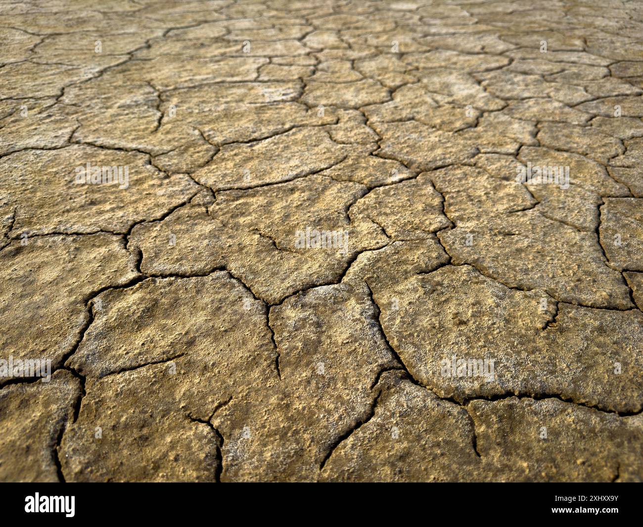 Detailed view of cracked dry earth in an arid landscape, depicting ...