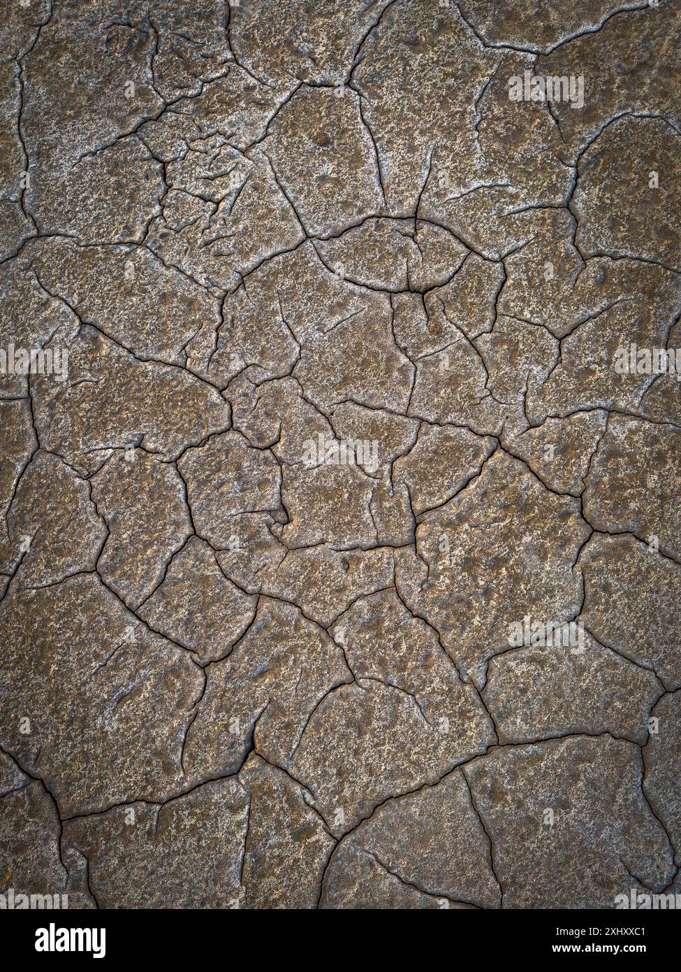 High-resolution texture of dry cracked earth, perfect for backgrounds ...