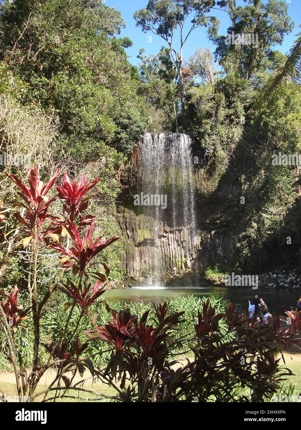 Atherton Tablelands, Australia. 01st Sep, 2009. The famous Millaa ...