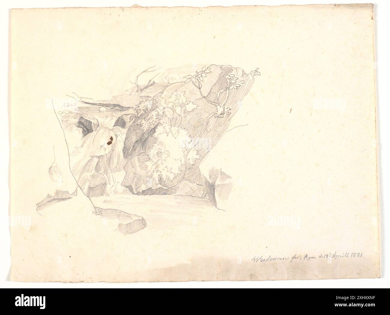 1850 drawing hi-res stock photography and images - Alamy